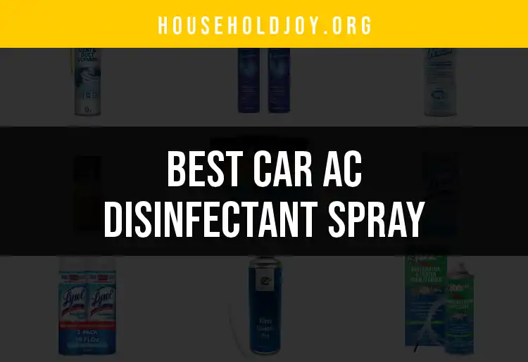 17 Best Car AC Disinfectant Sprays for a Fresh Ride
